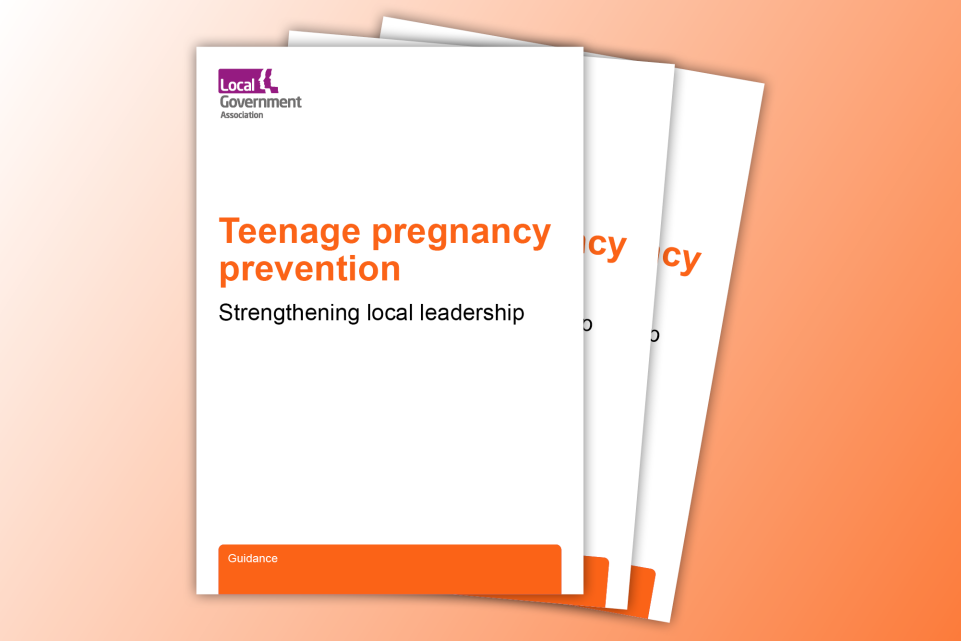 Family Hubs | Local Government Association