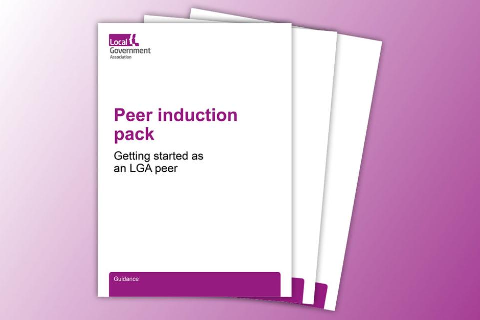 Information for peers | Local Government Association