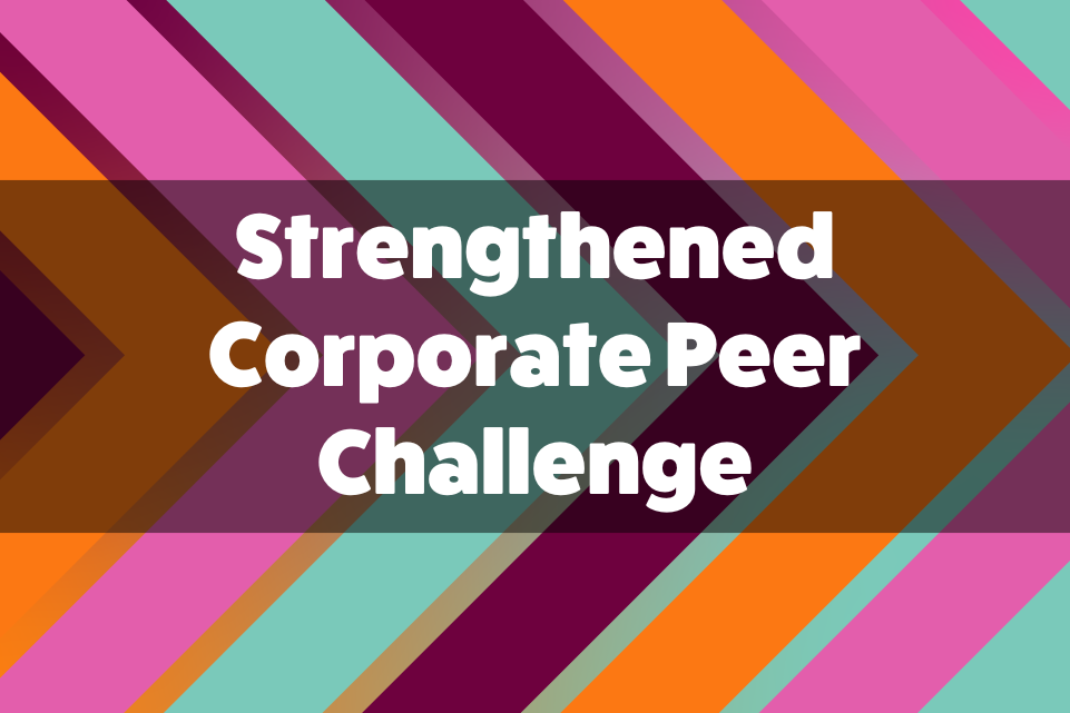 Corporate, finance and governance peer challenge programme: Annual ...